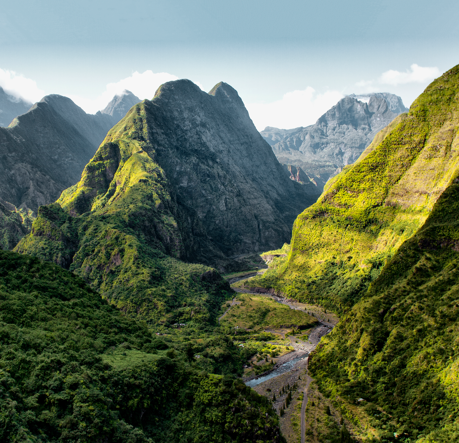 Reunion Island - Bourbon Pointu Grand Cru Coffee Beans