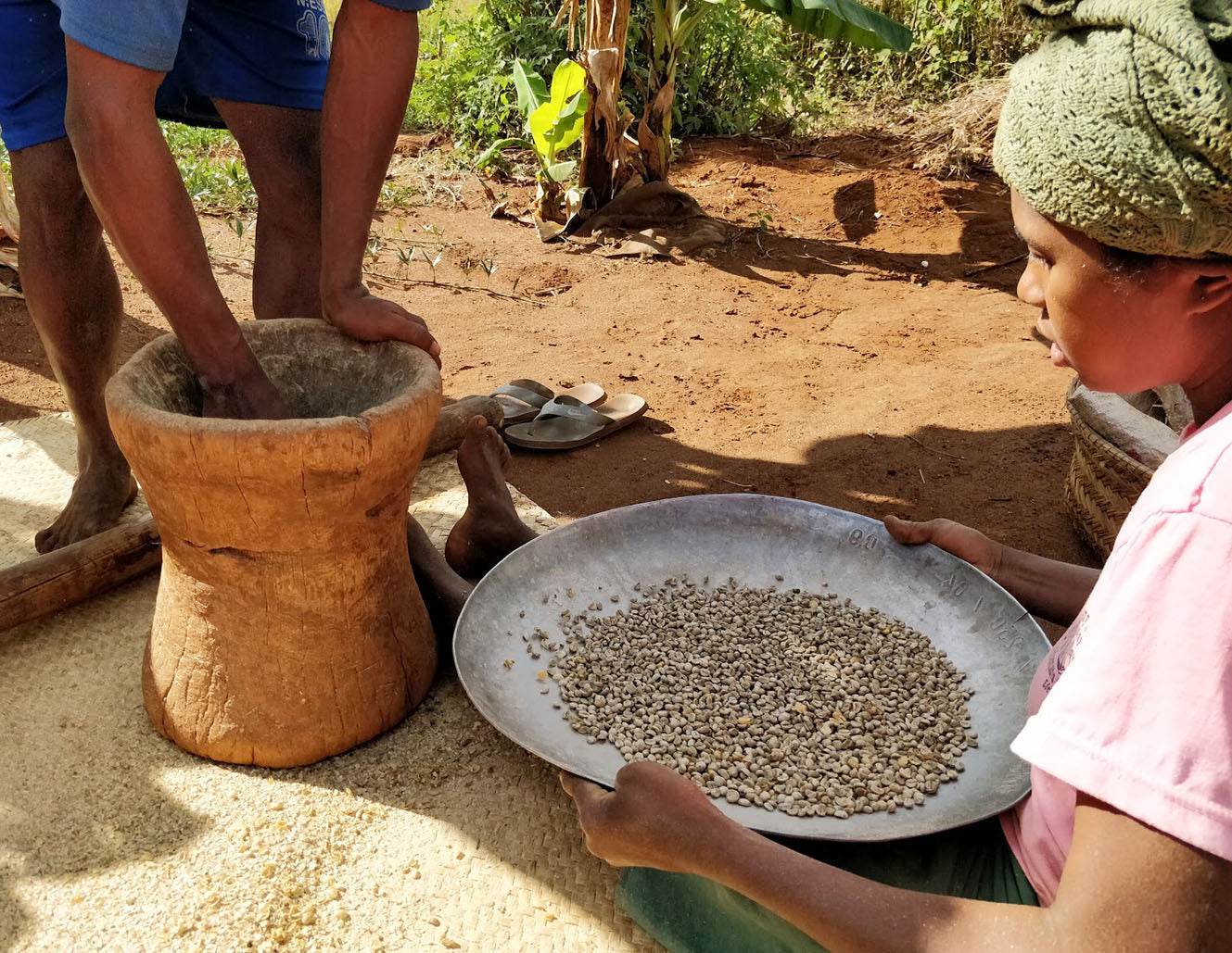 Madagascar Robusta Coffee